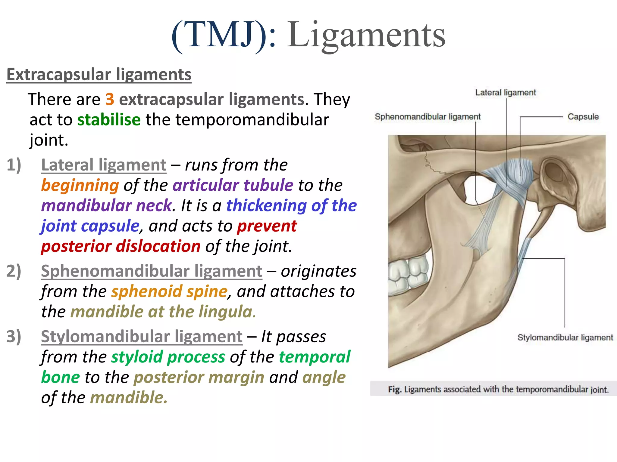 Anatomy of the Temporal region & Temporomandibular joint | PPTX
