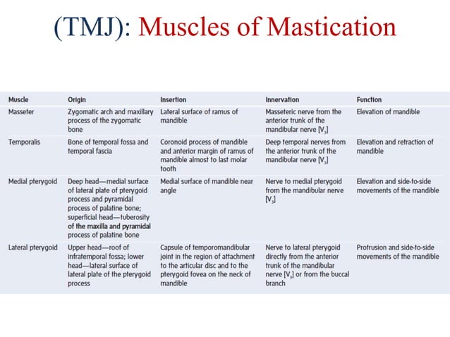 Anatomy of the Temporal region & Temporomandibular joint | PPTX | Death ...