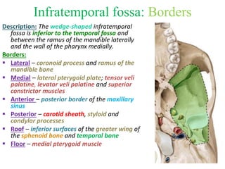 Anatomy of the Temporal region & Temporomandibular joint | PPTX