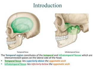Anatomy of the Temporal region & Temporomandibular joint | PPTX