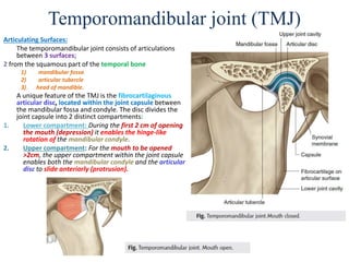 Anatomy of the Temporal region & Temporomandibular joint | PPTX