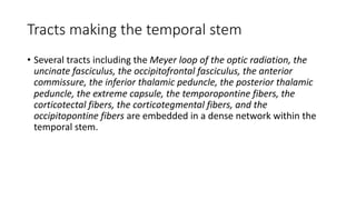Temporal stem anatomy | PPT