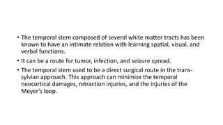 Temporal stem anatomy | PPT