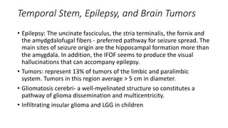 Temporal stem anatomy | PPT