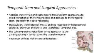 Temporal stem anatomy | PPT