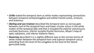 Temporal stem anatomy | PPT