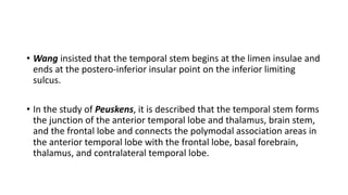 Temporal stem anatomy | PPT