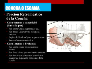 HUESO TEMPORAL | PPTX