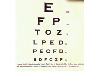 Temporal vision | PPT