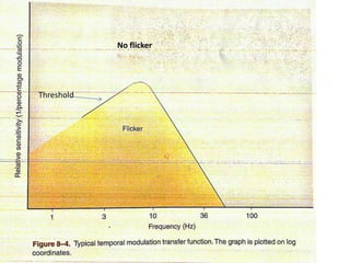 Temporal vision | PPT