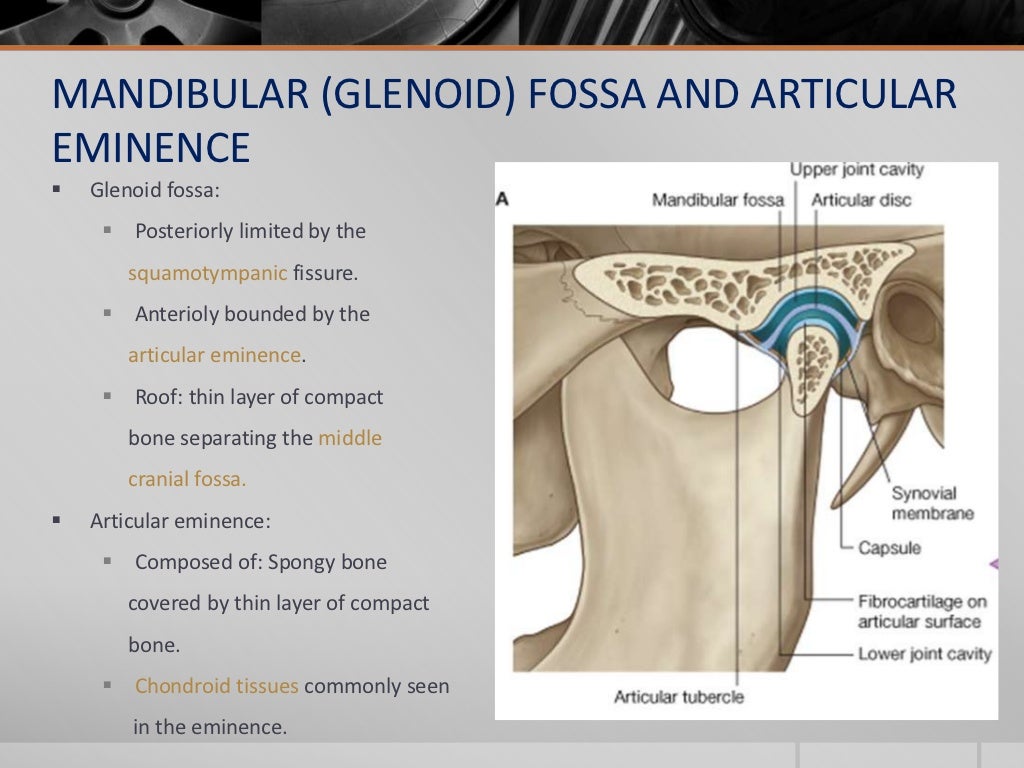 Temporo mandibular joint