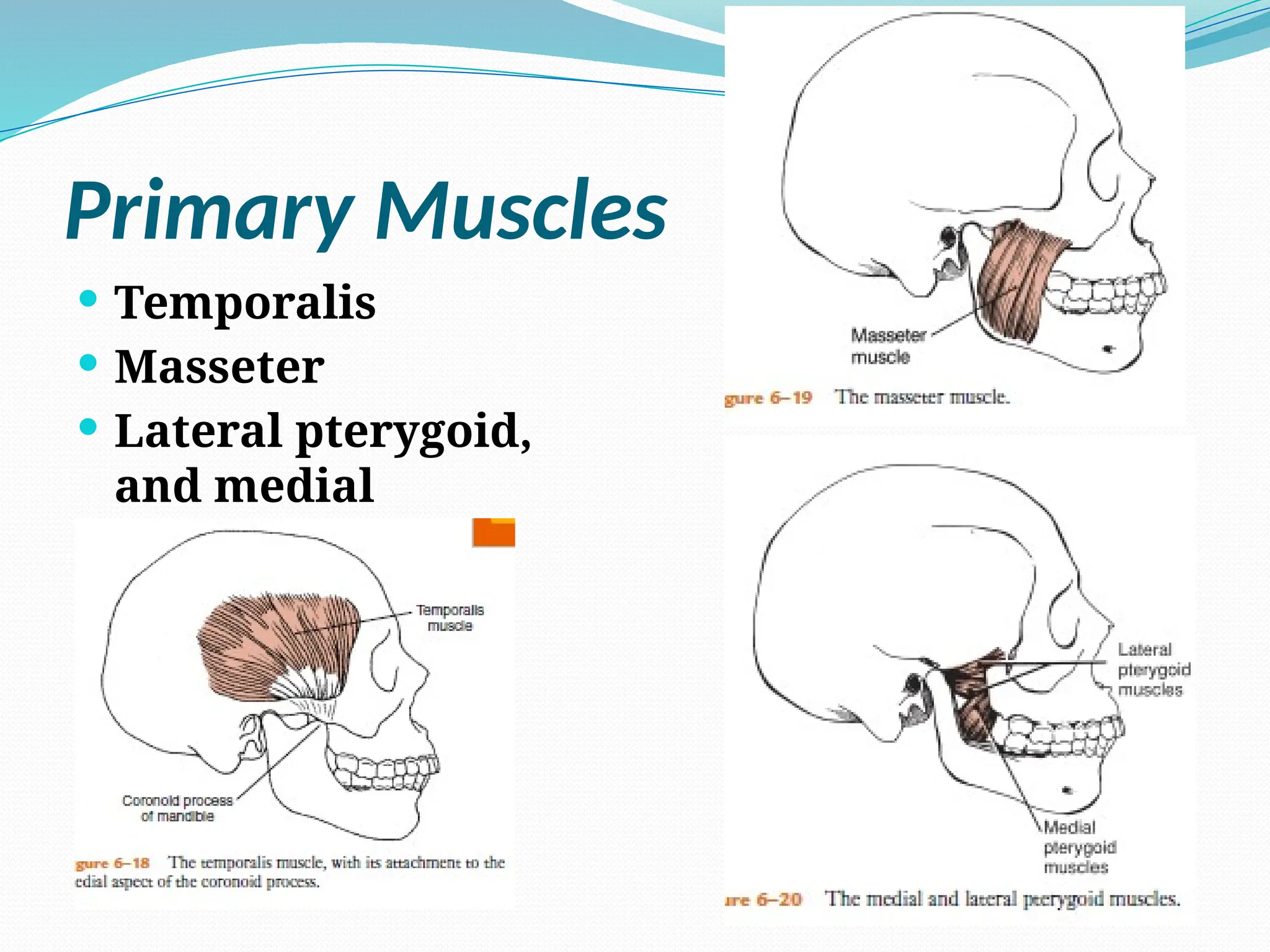 TEMPOROMANDIBULAR JOINT DISORDERS ...... | PPT