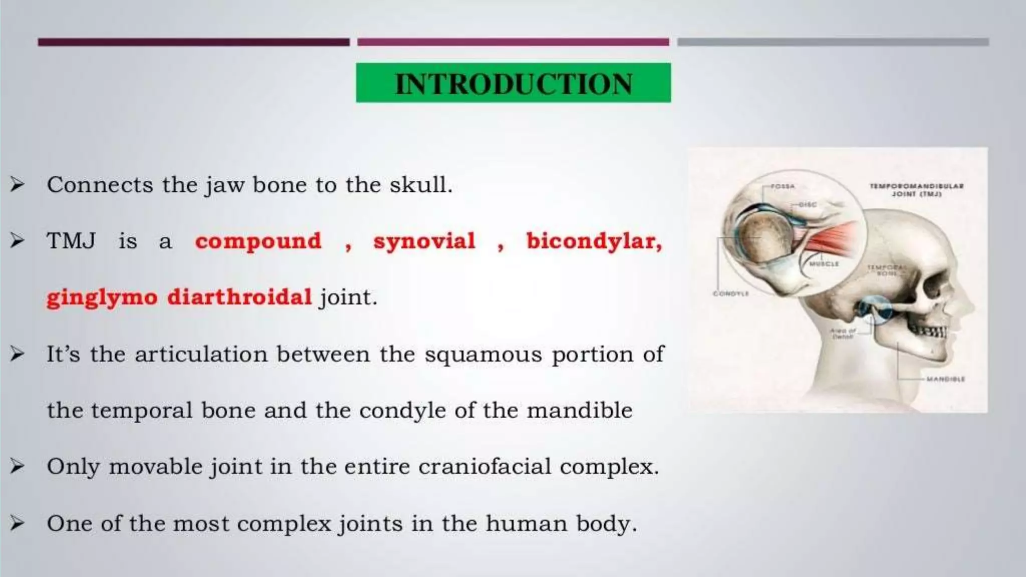 Temporomandibular-joint.pptx