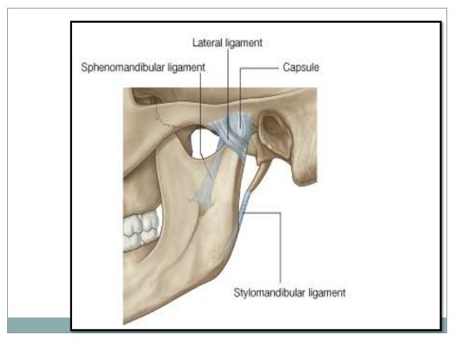 Temporomandibular joint. dr. gaurav salunkhe