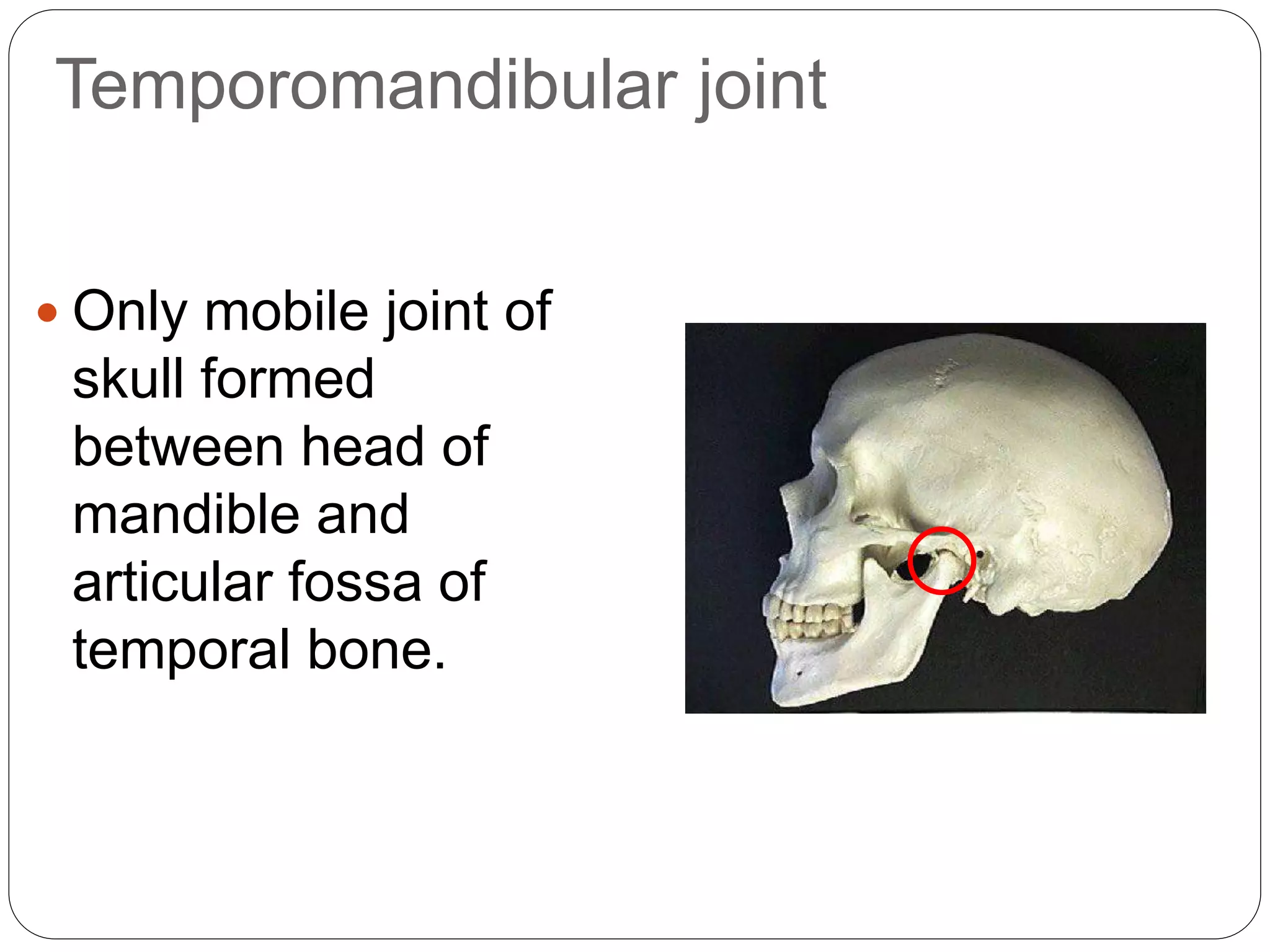Temporomandibular joint | PPTX