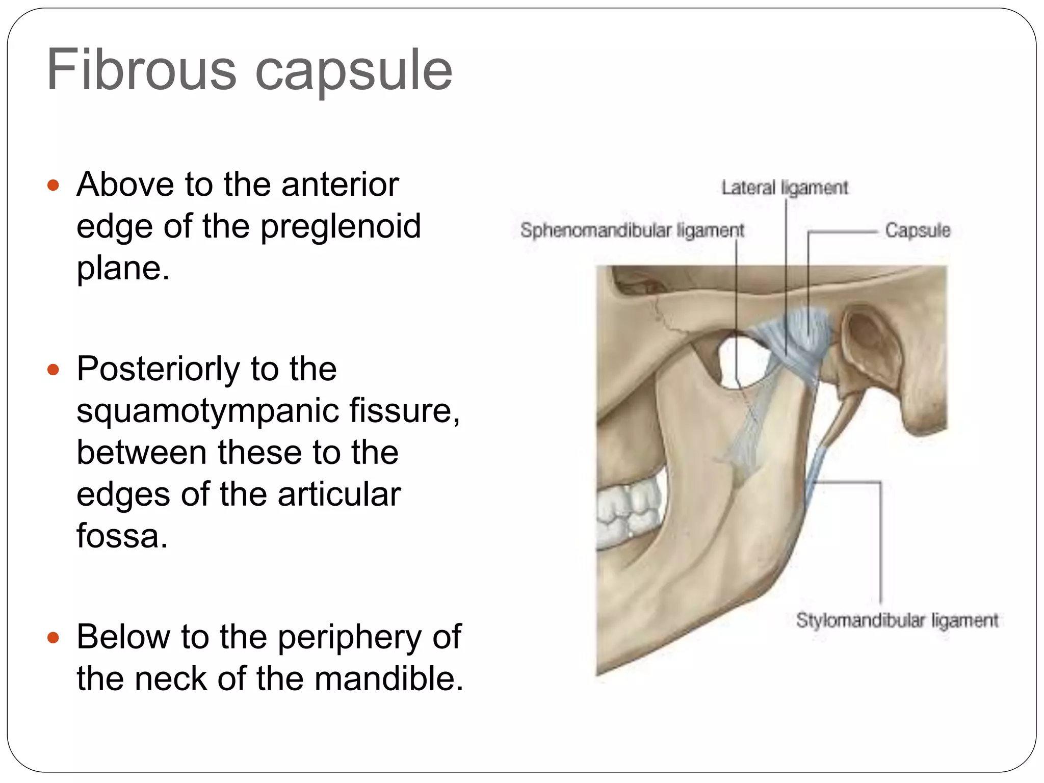 Temporomandibular joint | PPTX