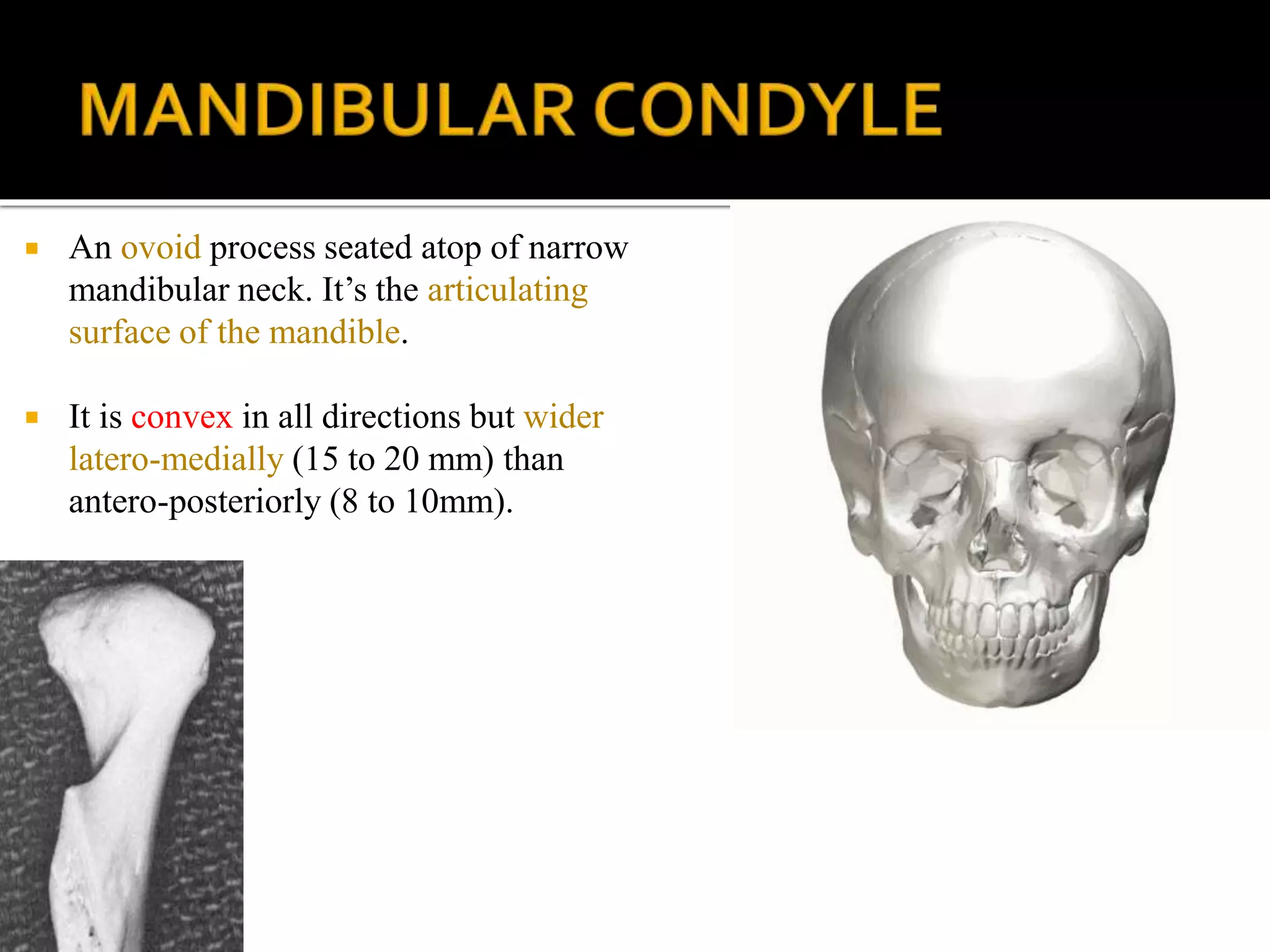 Temporo mandibular joint | PPTX