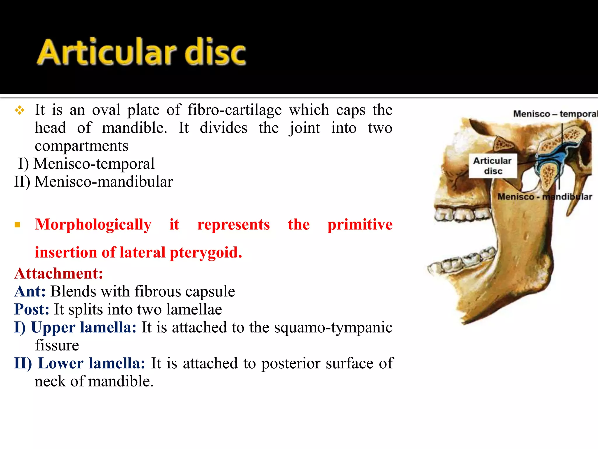 Temporo mandibular joint | PPTX