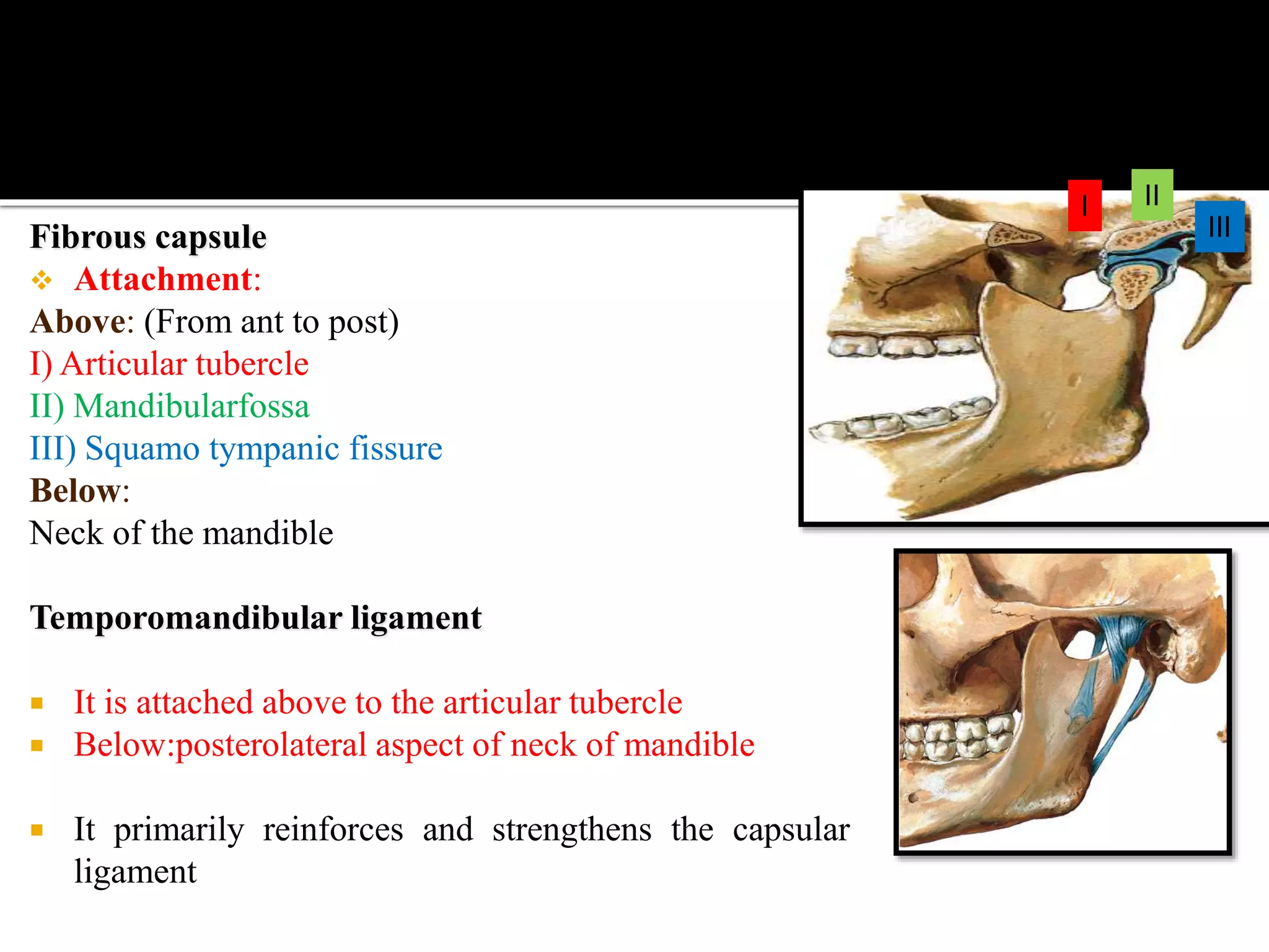 Temporo mandibular joint | PPTX