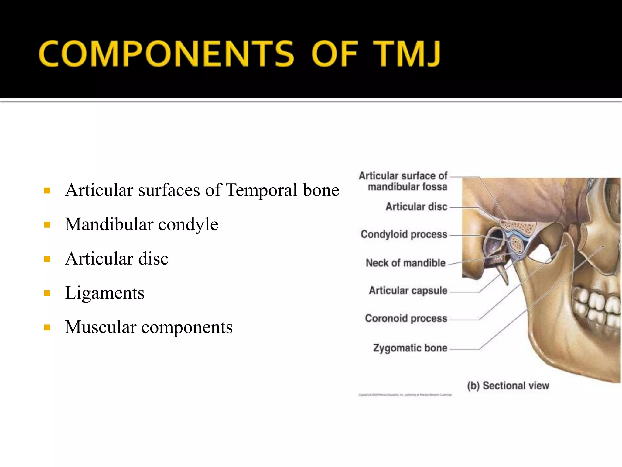 Temporo mandibular joint | PPTX