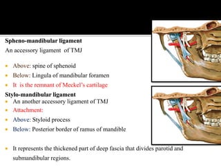 Temporo mandibular joint | PPTX