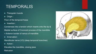 Temporomandibular joint | PPT