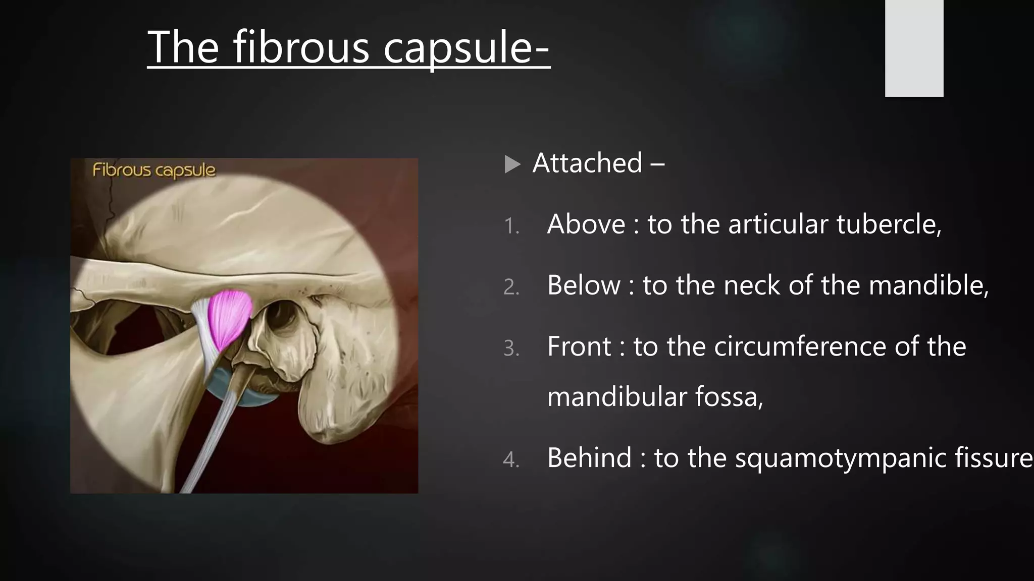temporomandibular joint.pptx