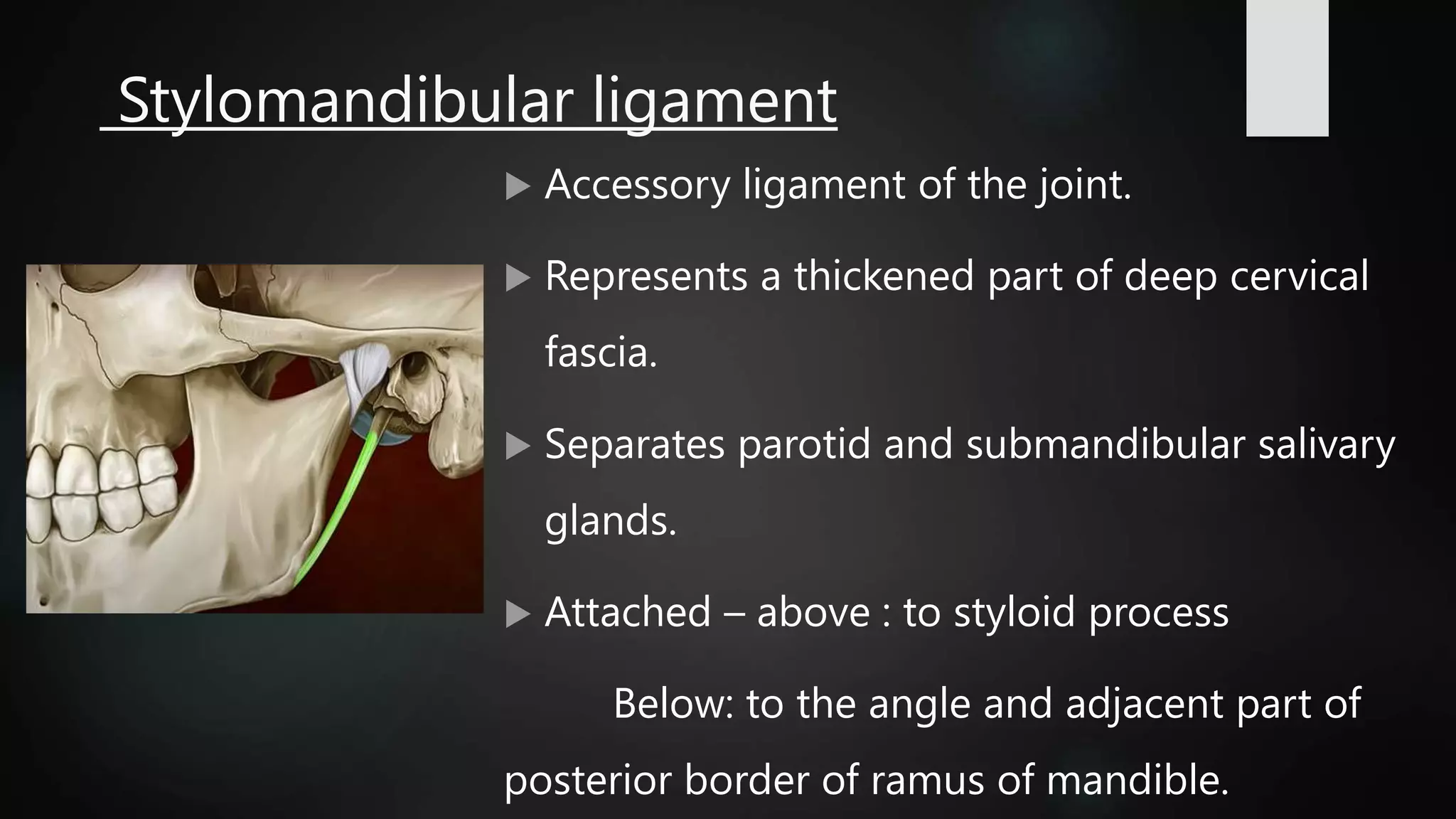 temporomandibular joint.pptx