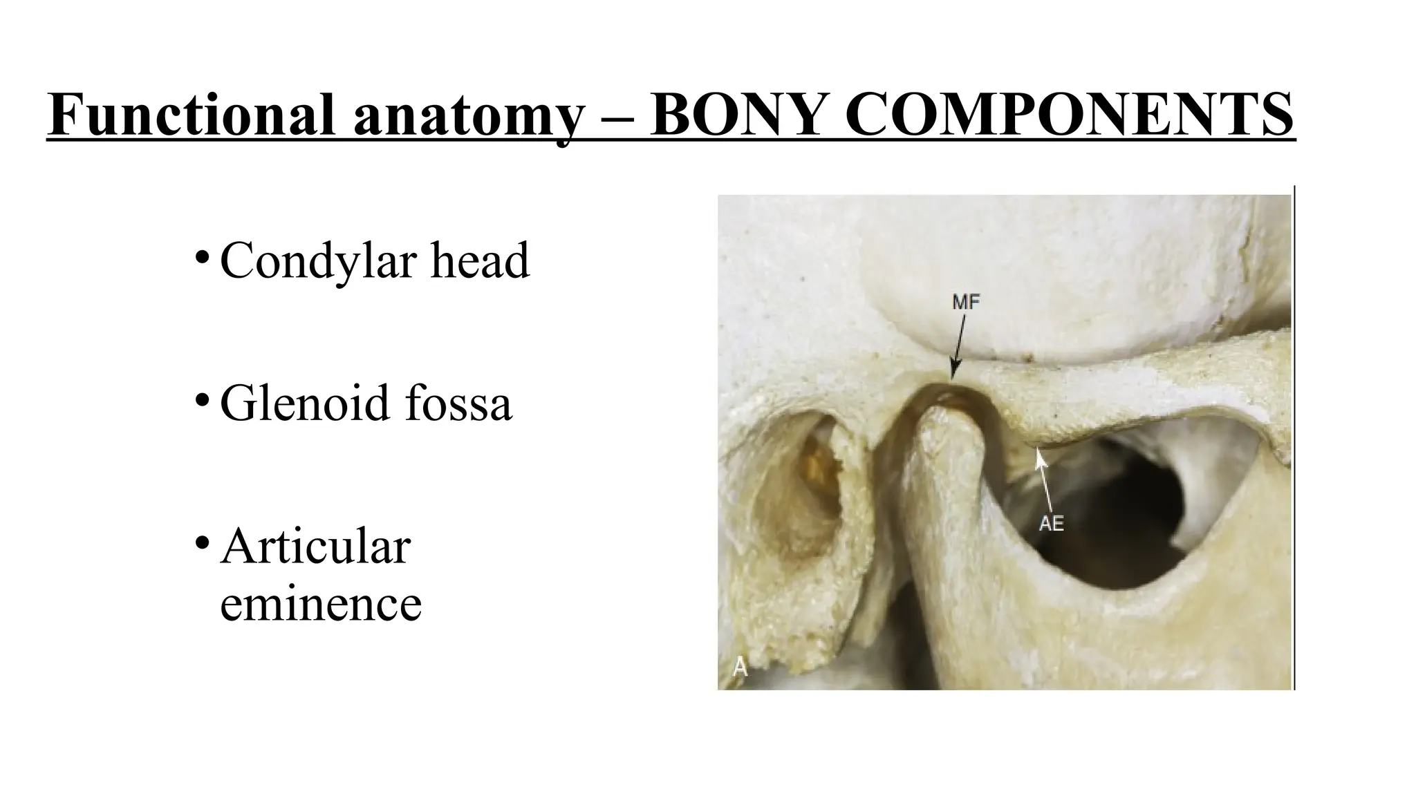Temporomandibular joint with its anatomy | PPTX