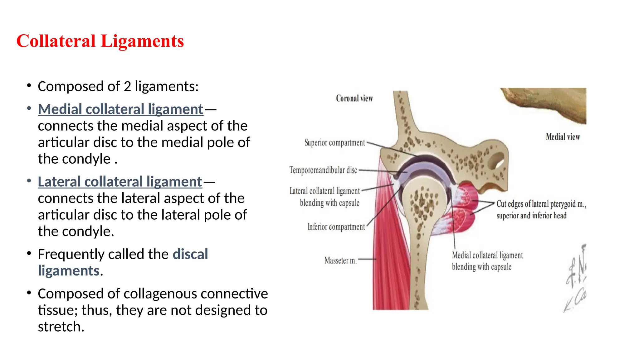 Temporomandibular joint with its anatomy | PPTX