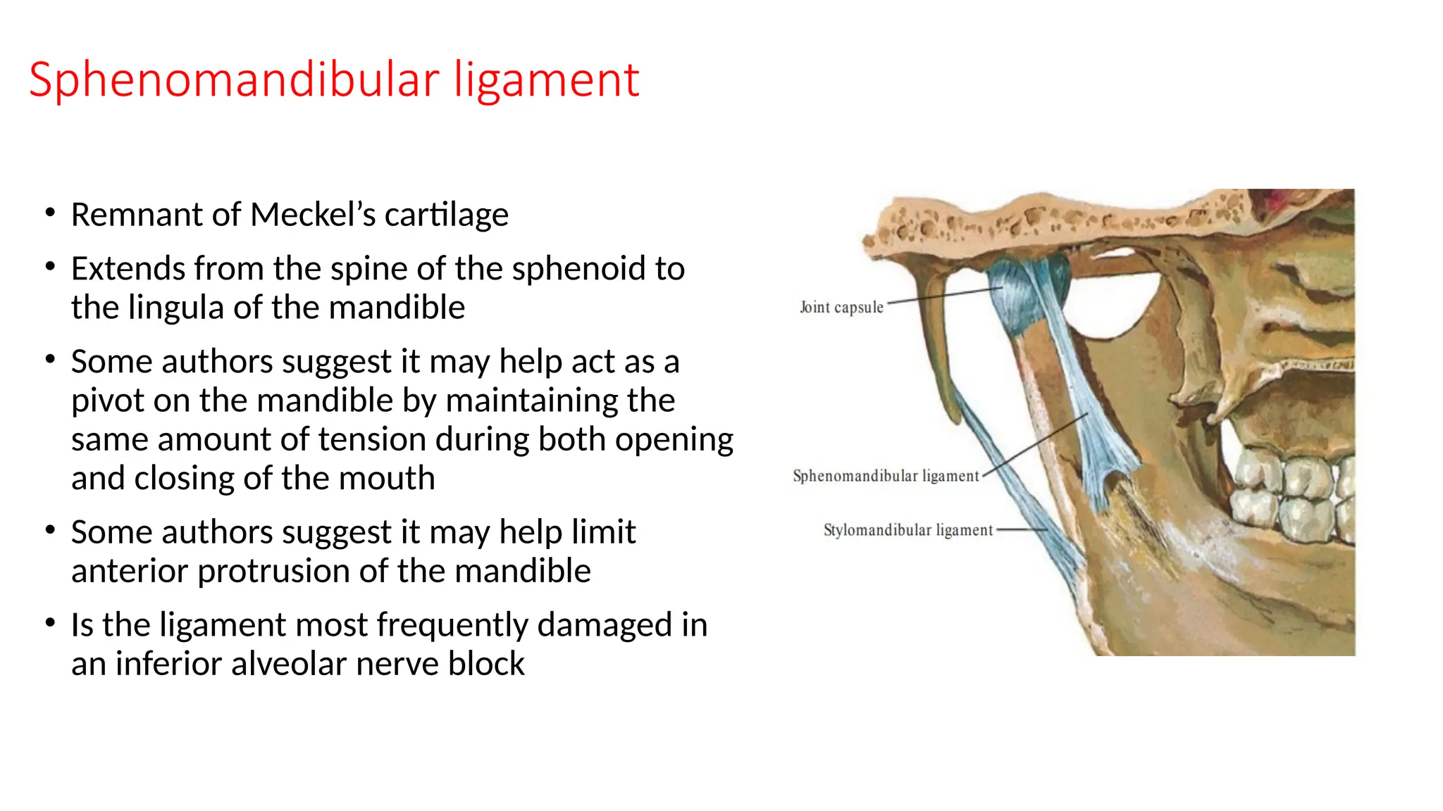 Temporomandibular joint with its anatomy | PPTX