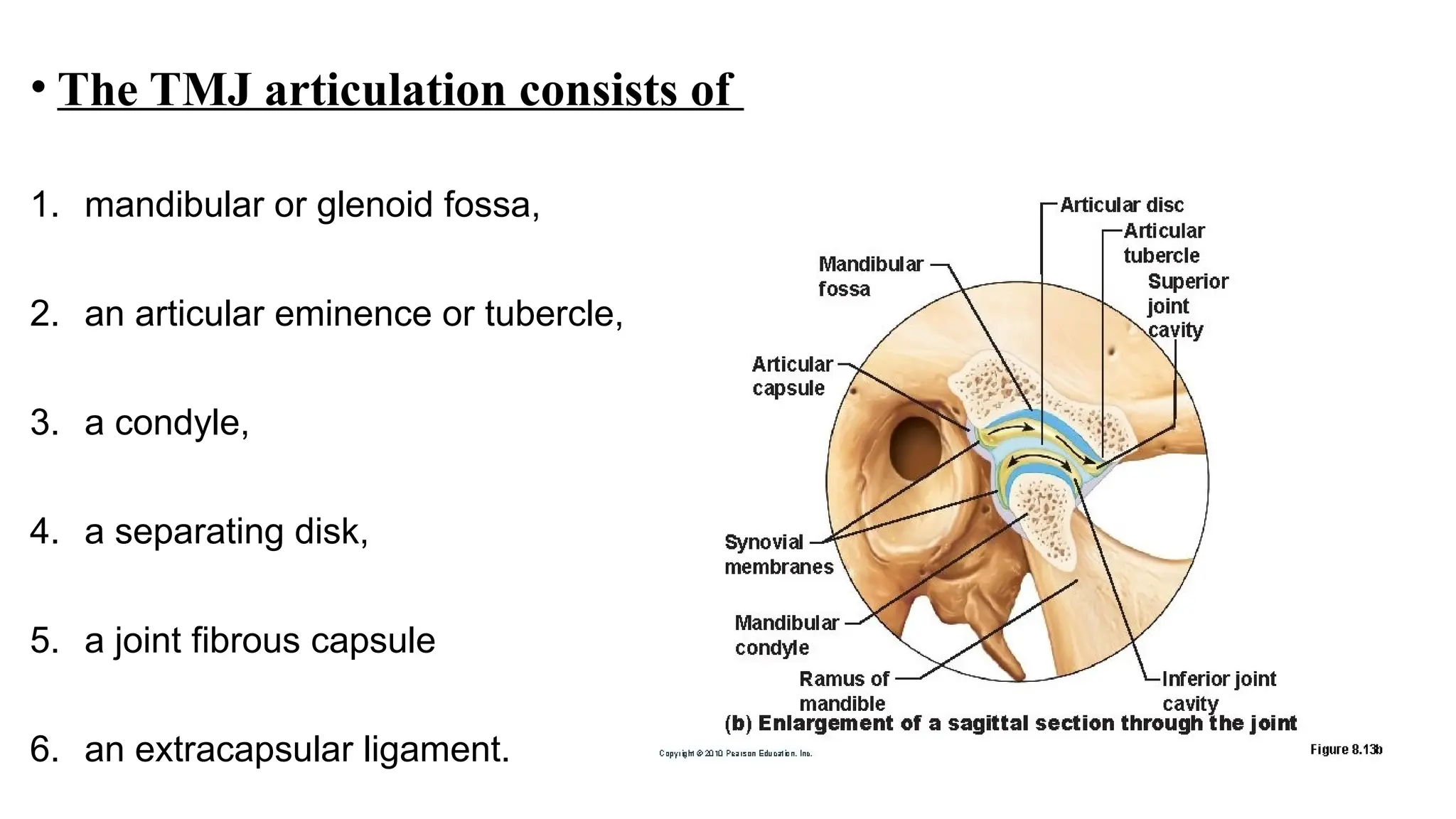 Temporomandibular joint with its anatomy | PPTX