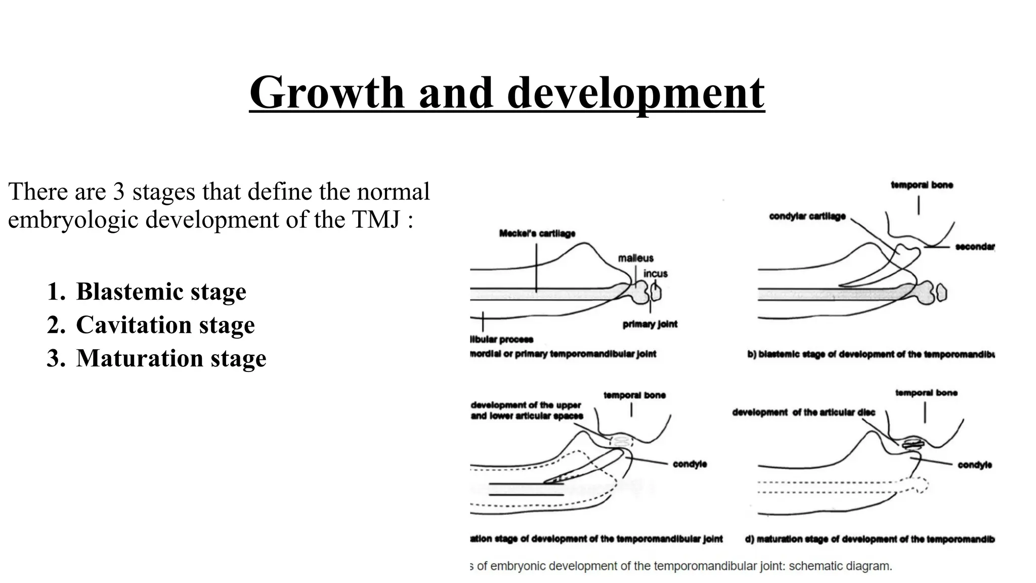 Temporomandibular joint with its anatomy | PPTX
