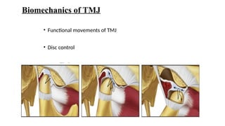 Temporomandibular joint with its anatomy | PPTX