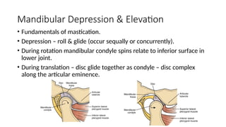 TEMPOROMANDIBULAR JOINT / biomechanics .pptx