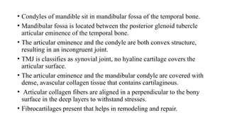 TEMPOROMANDIBULAR JOINT / biomechanics .pptx