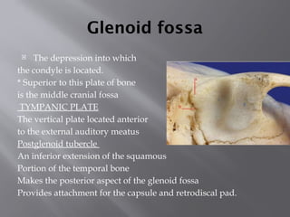 Temporo mandibular joint and its disorders | PPTX