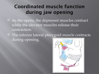 Temporo mandibular joint and its disorders | PPTX