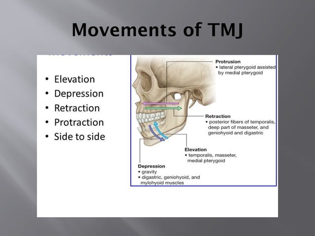 Temporo mandibular joint and its disorders | PPT