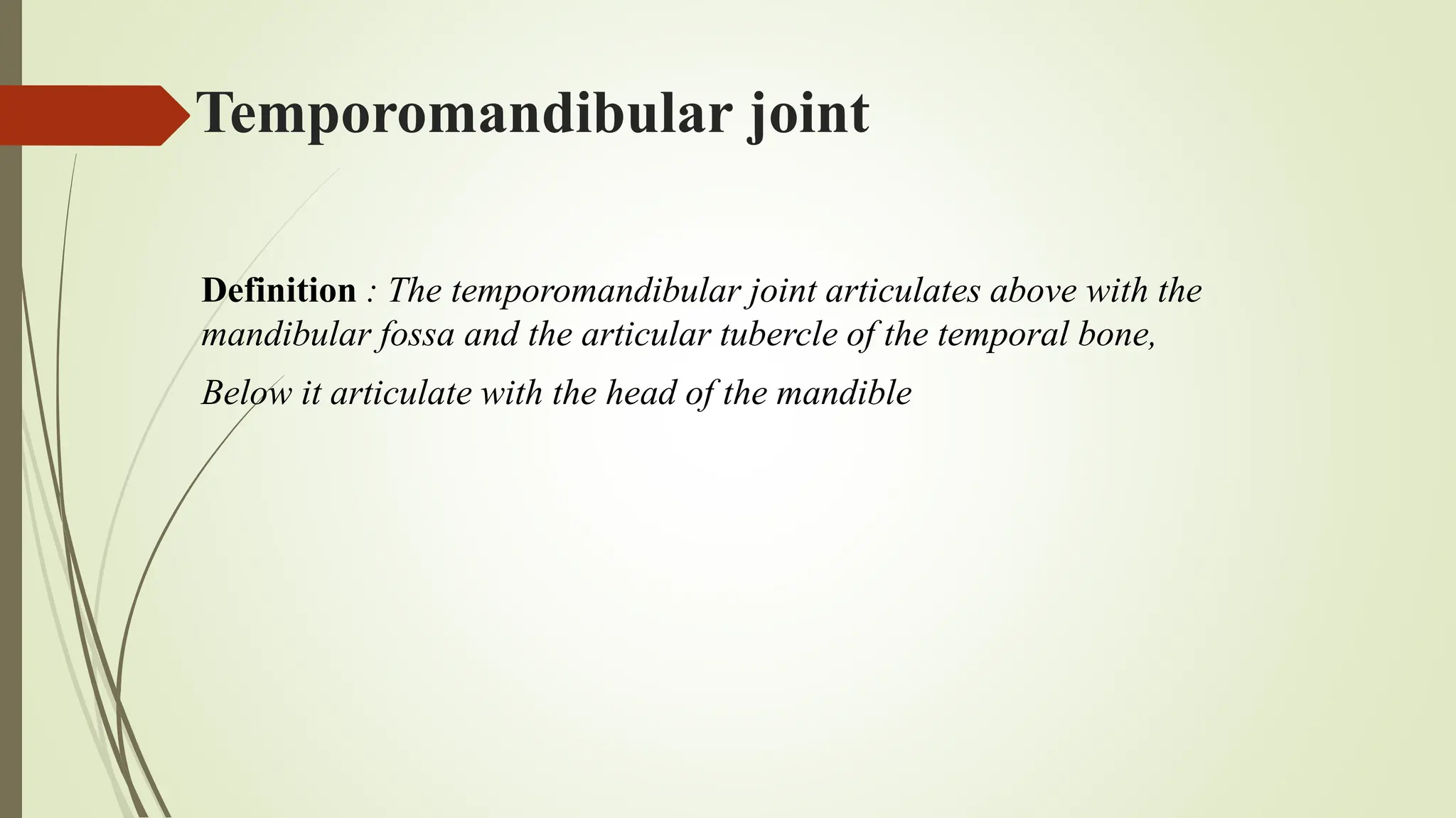 temporomandibular joint.pdf................ | PDF