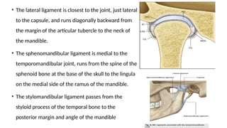 TEMPOROMANDIBULAR JOINT.pptx PERIODONTICS | PPTX