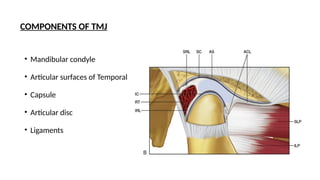TEMPOROMANDIBULAR JOINT.pptx PERIODONTICS | PPTX
