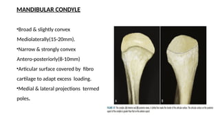TEMPOROMANDIBULAR JOINT.pptx PERIODONTICS | PPTX