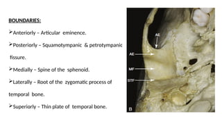 TEMPOROMANDIBULAR JOINT.pptx PERIODONTICS | PPTX