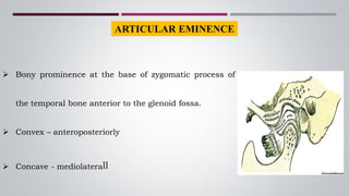 Temporomandibular joint 1 | PPTX
