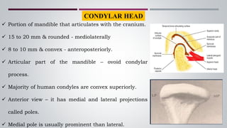 Temporomandibular joint 1 | PPTX