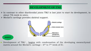 Temporomandibular joint 1 | PPT