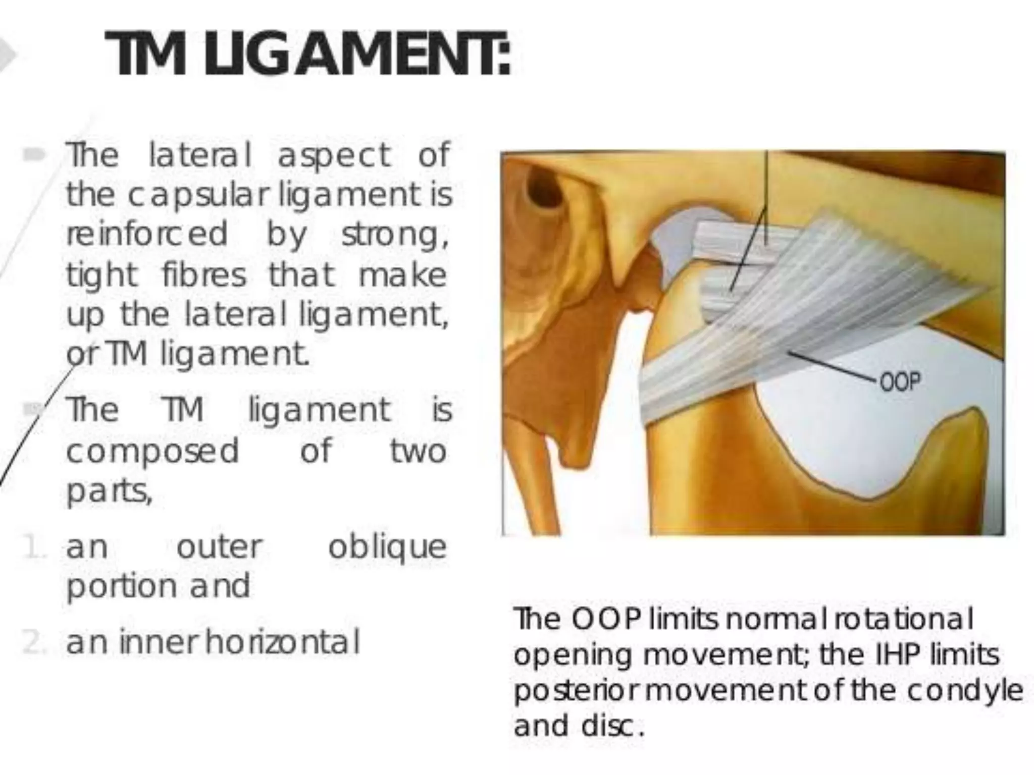 TEMPOROMANDIBULAR JOINT 2021.ppt | Death, Injury, or Military Conflict ...