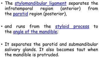 TEMPOROMANDIBULAR JOINT 2021.ppt