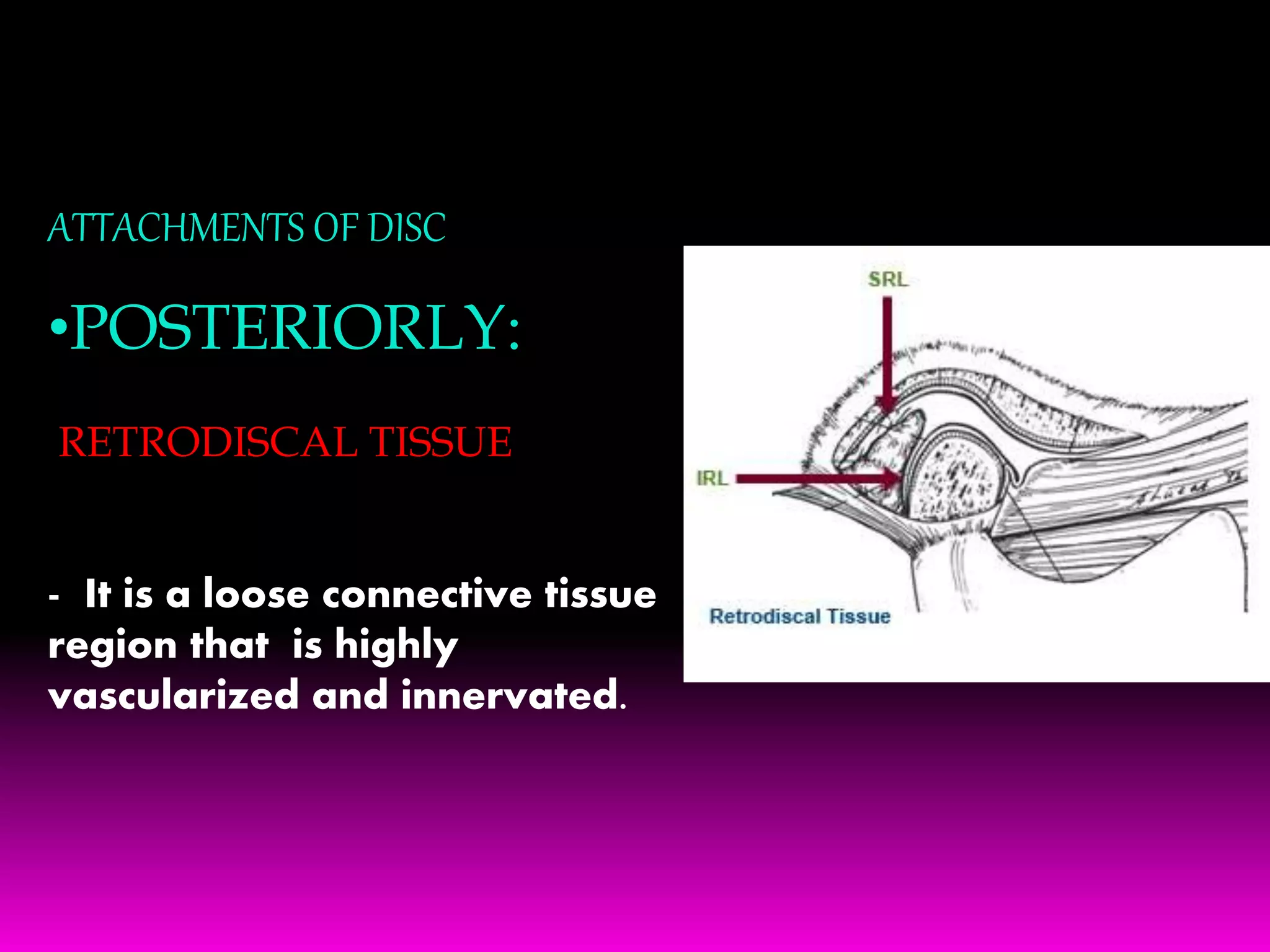 Temporomandibular joint anatomy and its prosthodontic implications | PPTX